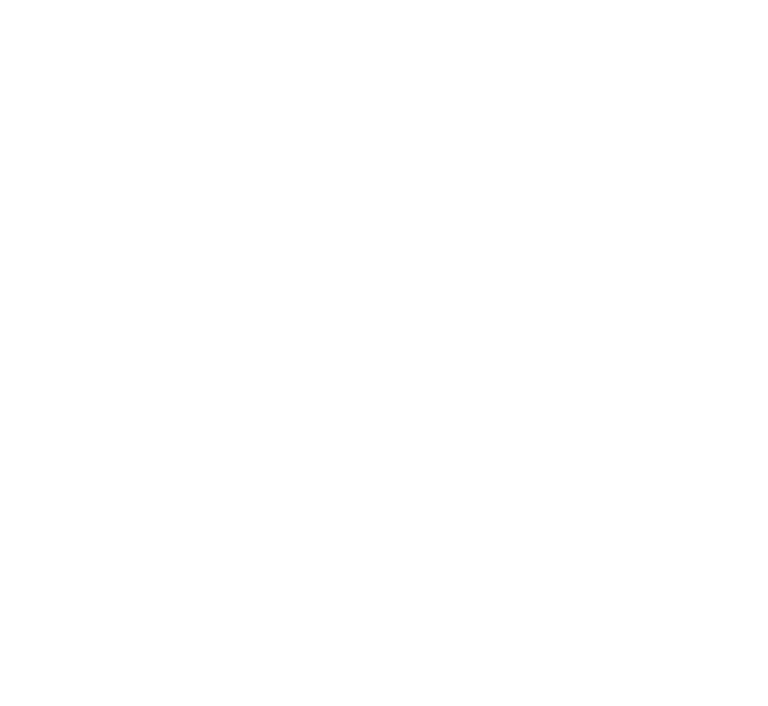 Informaciones Generales del SDSS - Dida